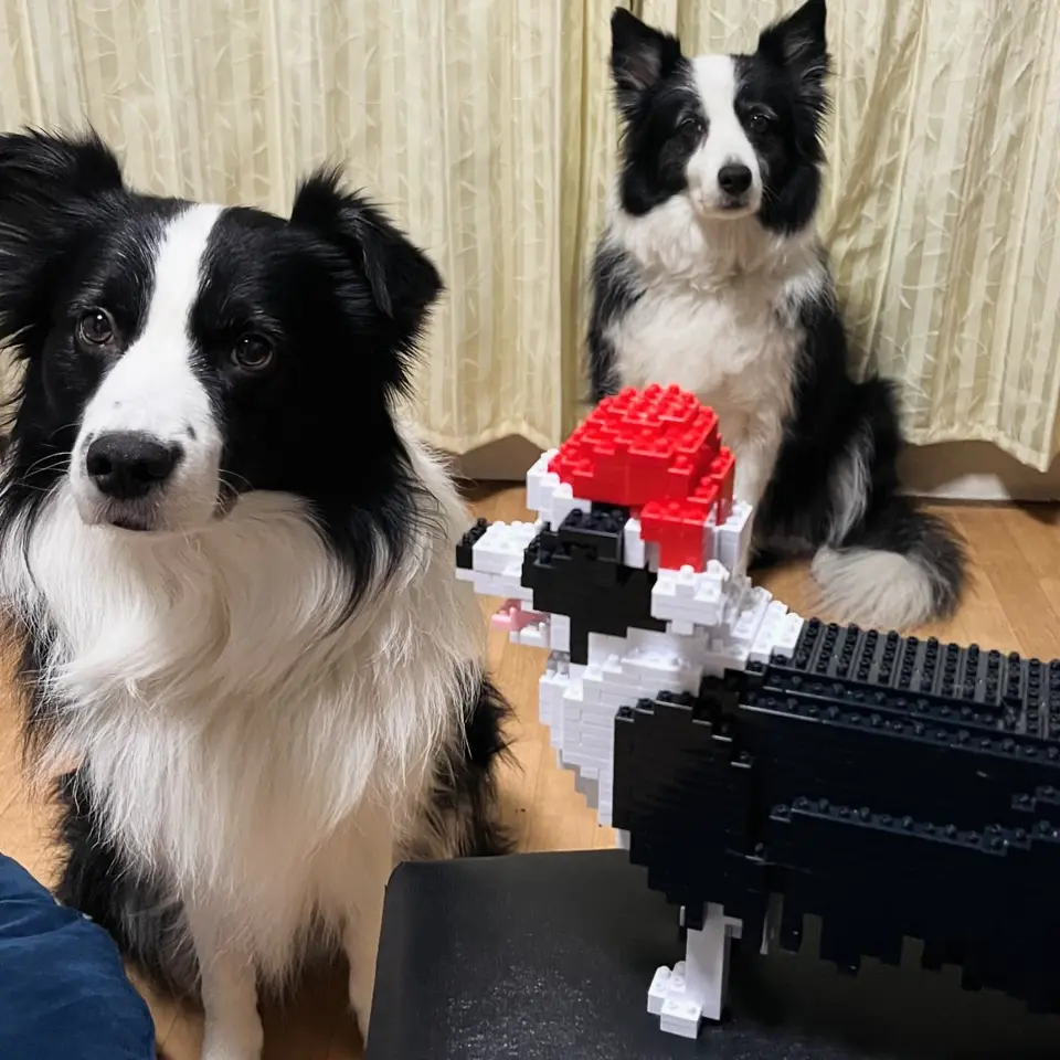 lego border collie